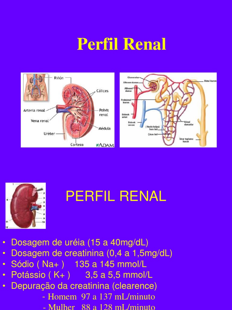 1A Perfil Renal LABORATORIO CLINICO 2022 PDF | PDF | Creatinina ...