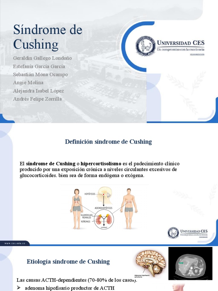 Síndrome de Cushing: Causas y Tratamiento | PDF | Hormona adrenocorticotrópica | Medicina CLINICA