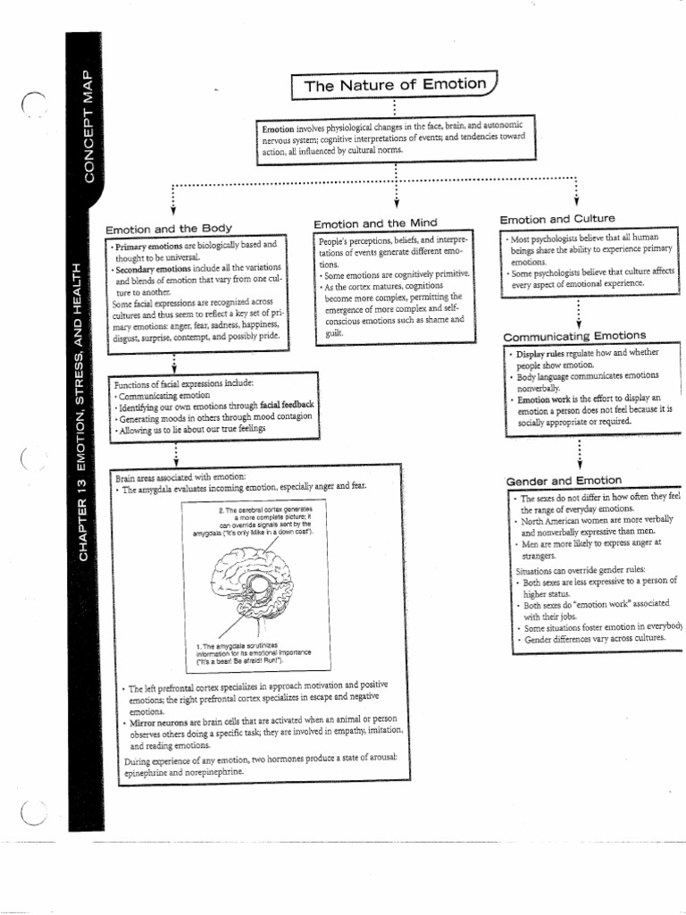 Motivation and Emotion Concept Maps | PDF