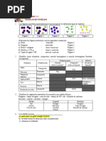 Maqueta Del Adn Word | PDF