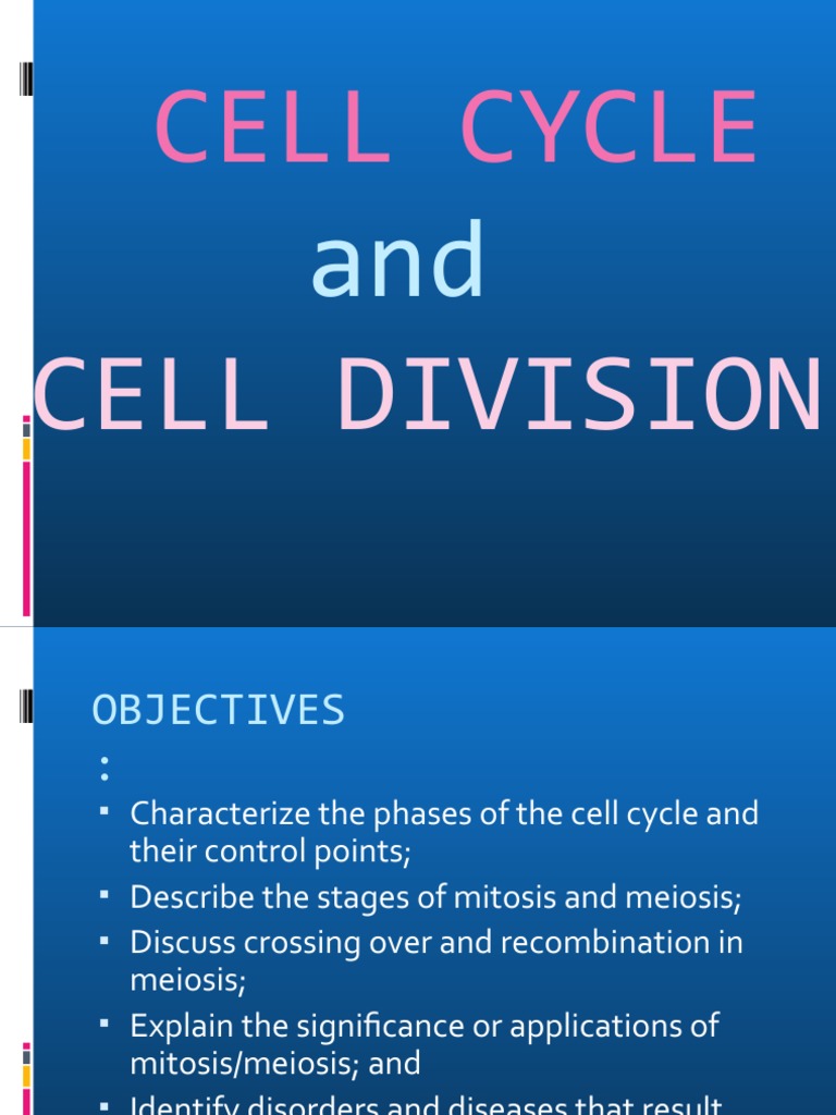 CELL CYCLE PPT Kim | Download Free PDF | Cell Cycle | Mitosis