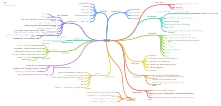 TKIVA-umna Mapa | PDF