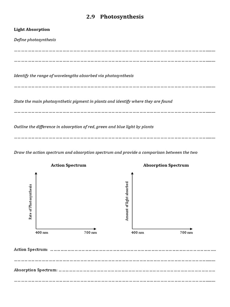 Topic 2.9 Worksheet | PDF | Photosynthesis | Electromagnetic Radiation