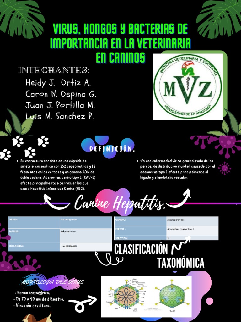 Atlas Micro | PDF | Virus | Adenoviridae