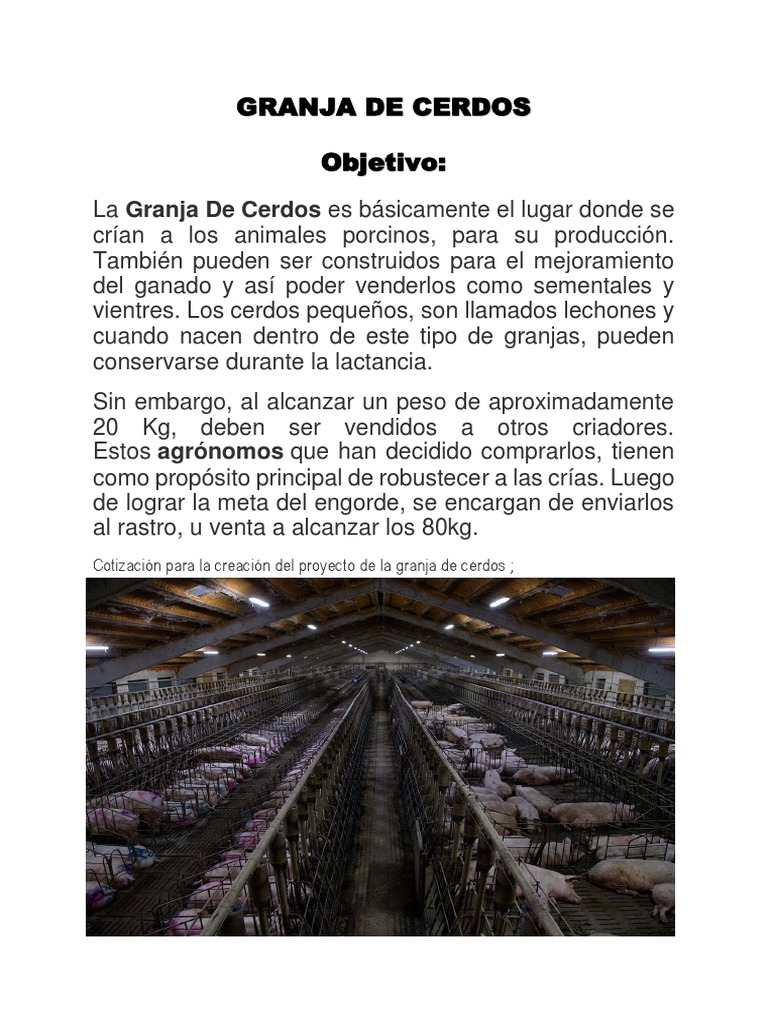 Granja de Cerdos | PDF | Cerdo | Agricultura