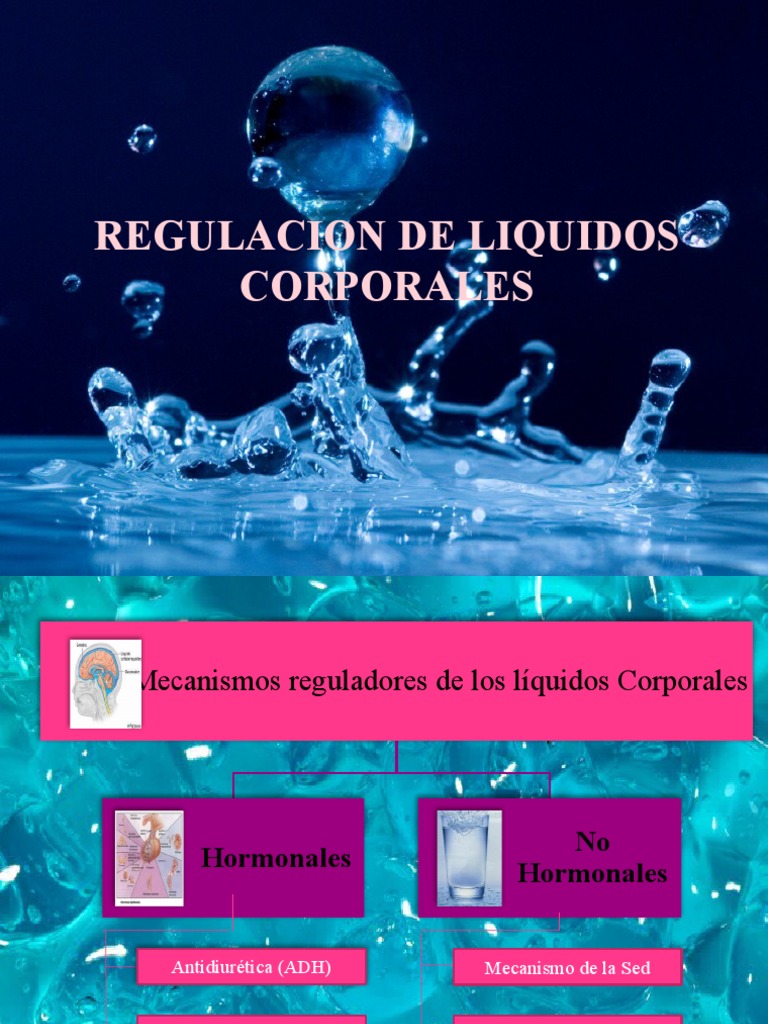 Regulacion de Los Liquidos Corporales | PDF | Potasio | Química