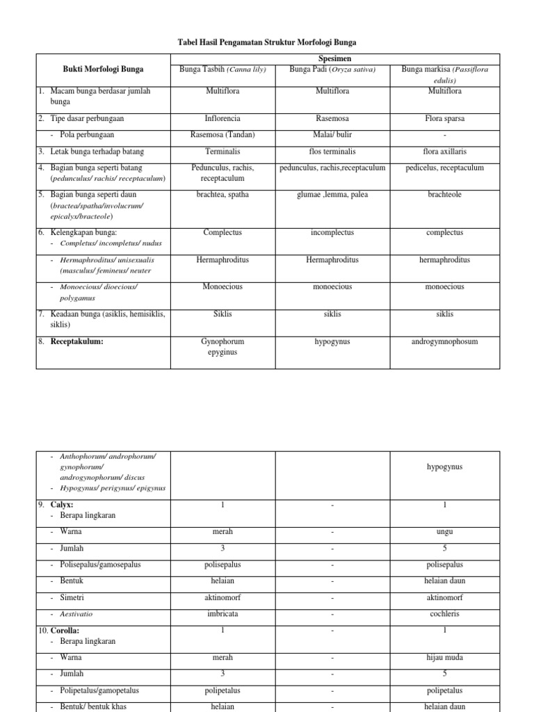 Laprak SPT Bunga Dina | PDF