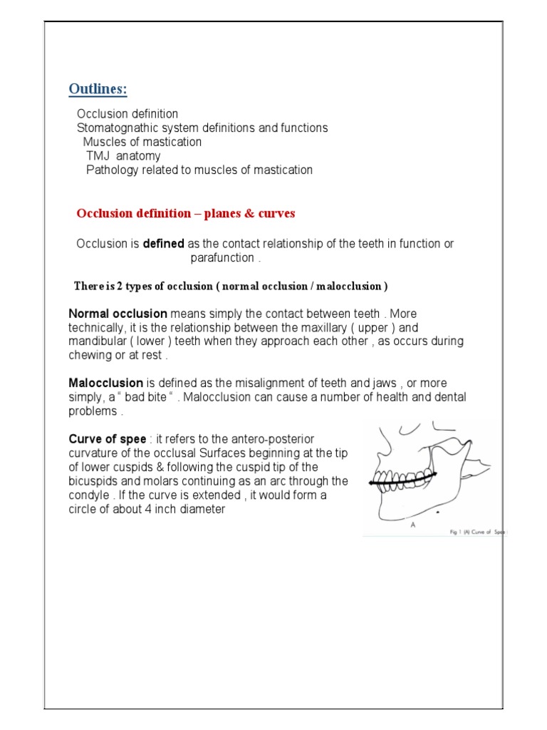 Stomatognathic System Pdf Dentistry Branches Anatomy