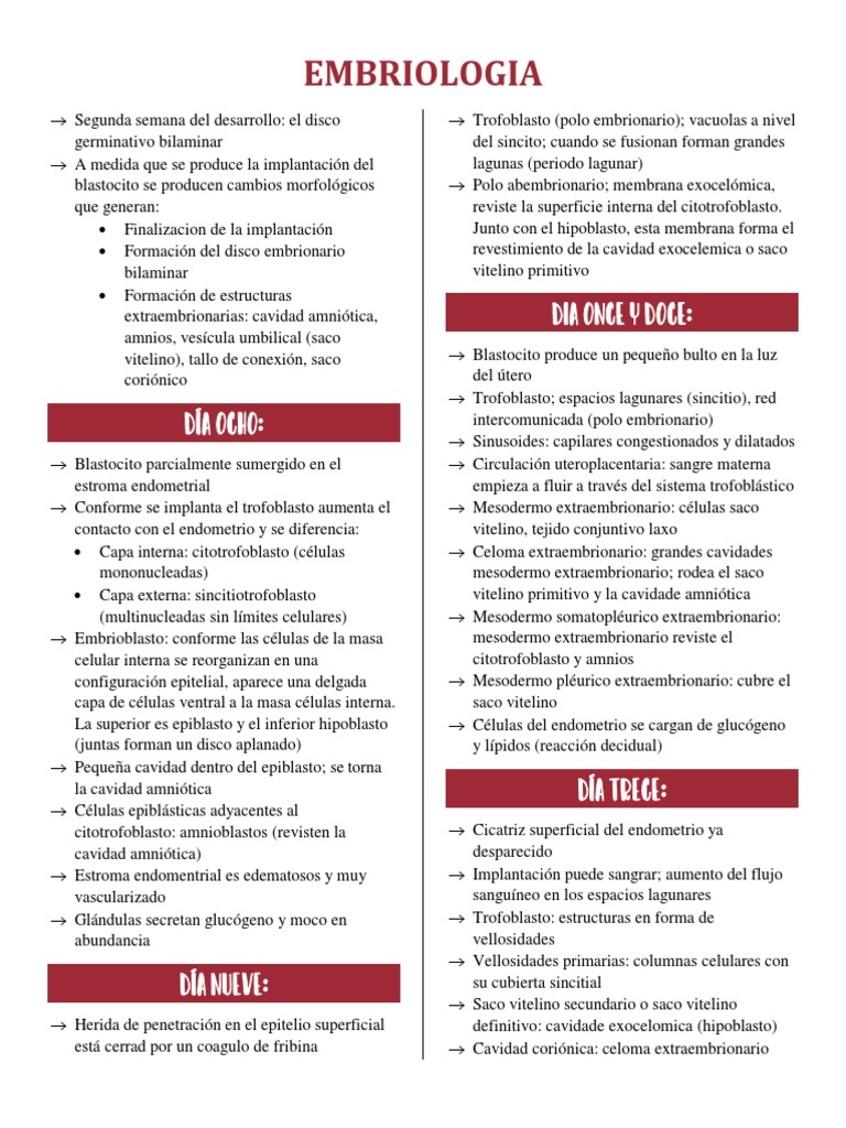 Desarrollo del Saco Vitelino y Disco Bilaminar | PDF | Implantación ...
