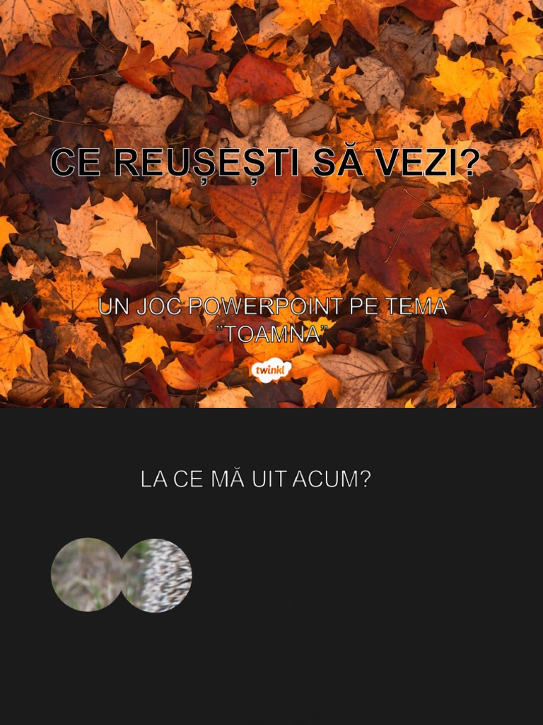Ce Reuseti Sa Vezi Toamna Joc Powerpoint | PDF