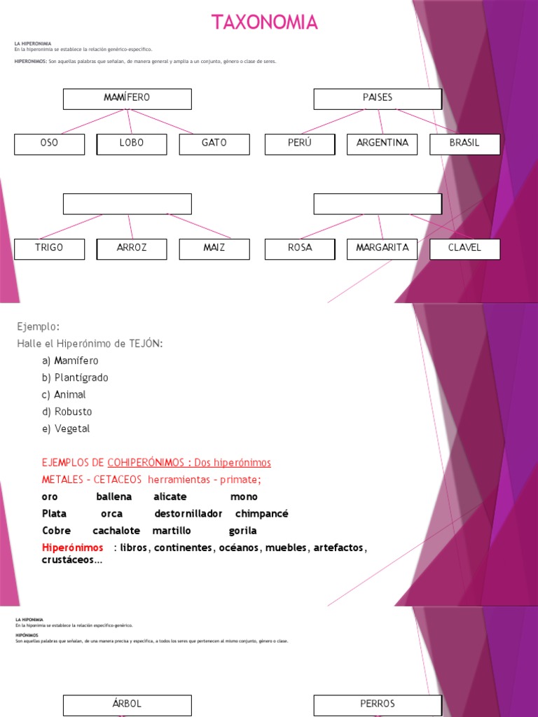 Hiperonimia e Hiponimia: Ejemplos y Ejercicios | PDF | Biología ...