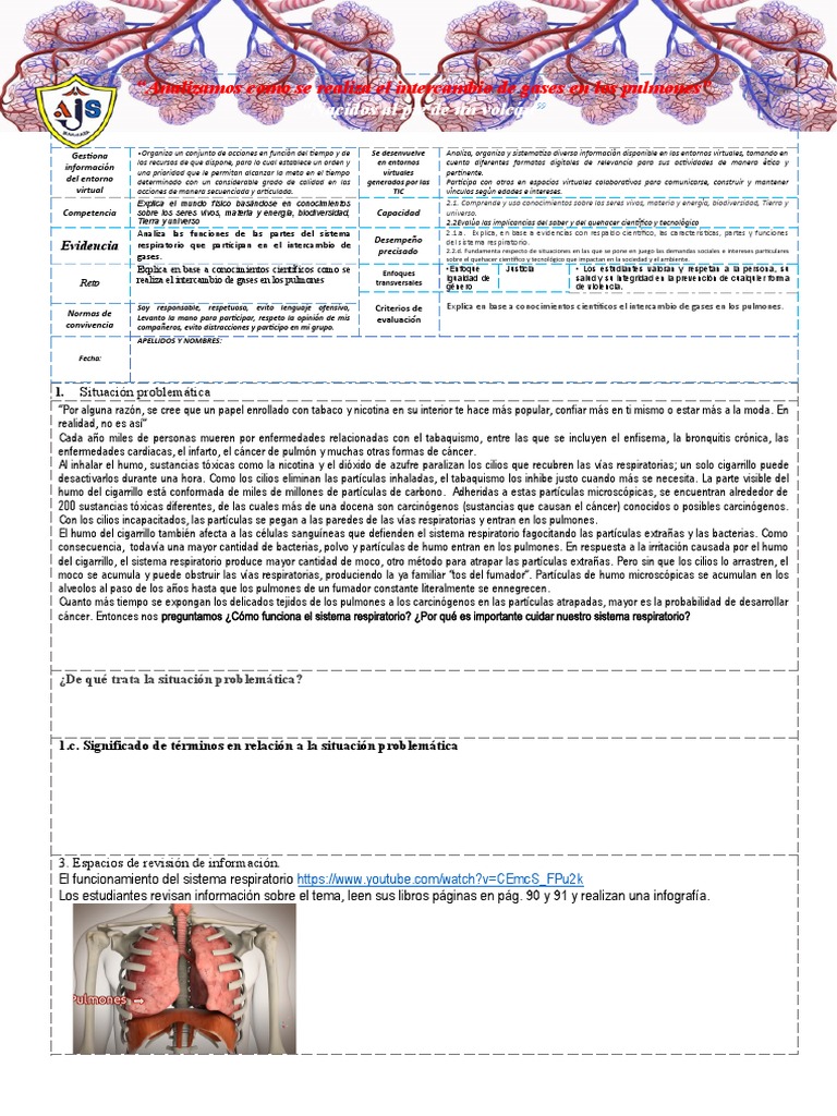 Sistema Respiratorio | PDF | Sistema respiratorio | Respiración