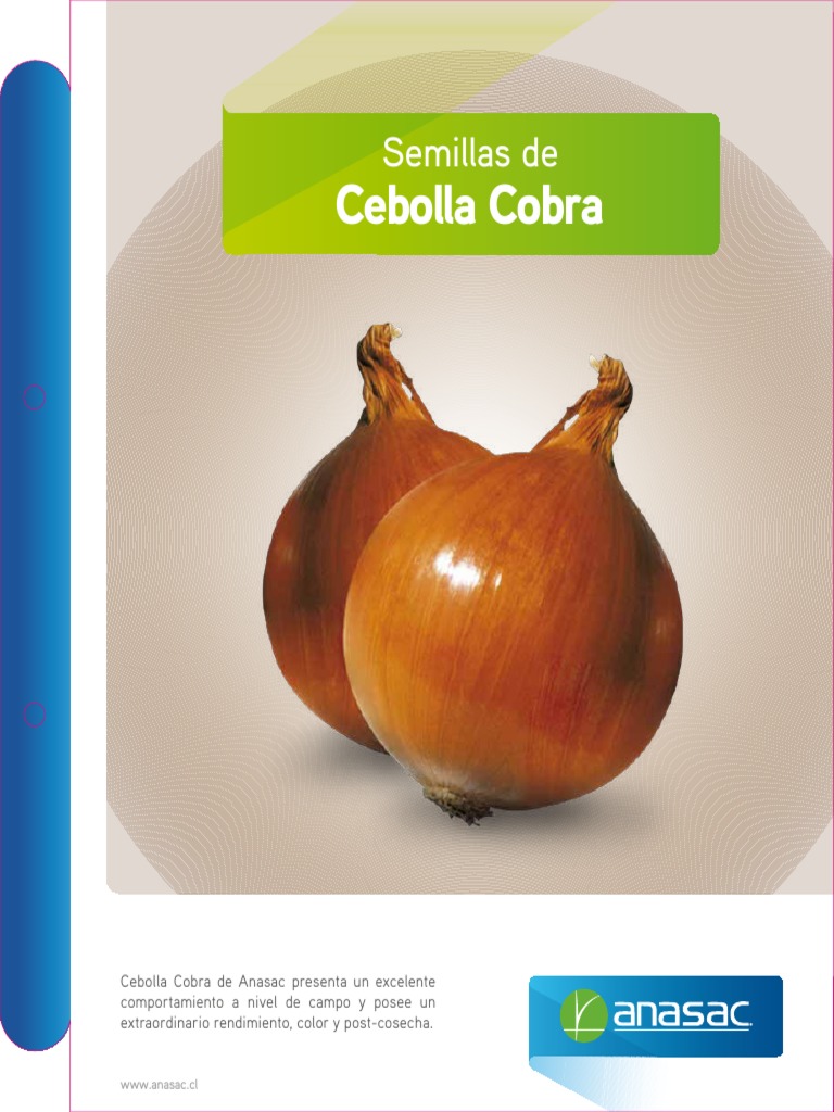 Folleto Cebolla Cobra | PDF | Agricultura | Plantas