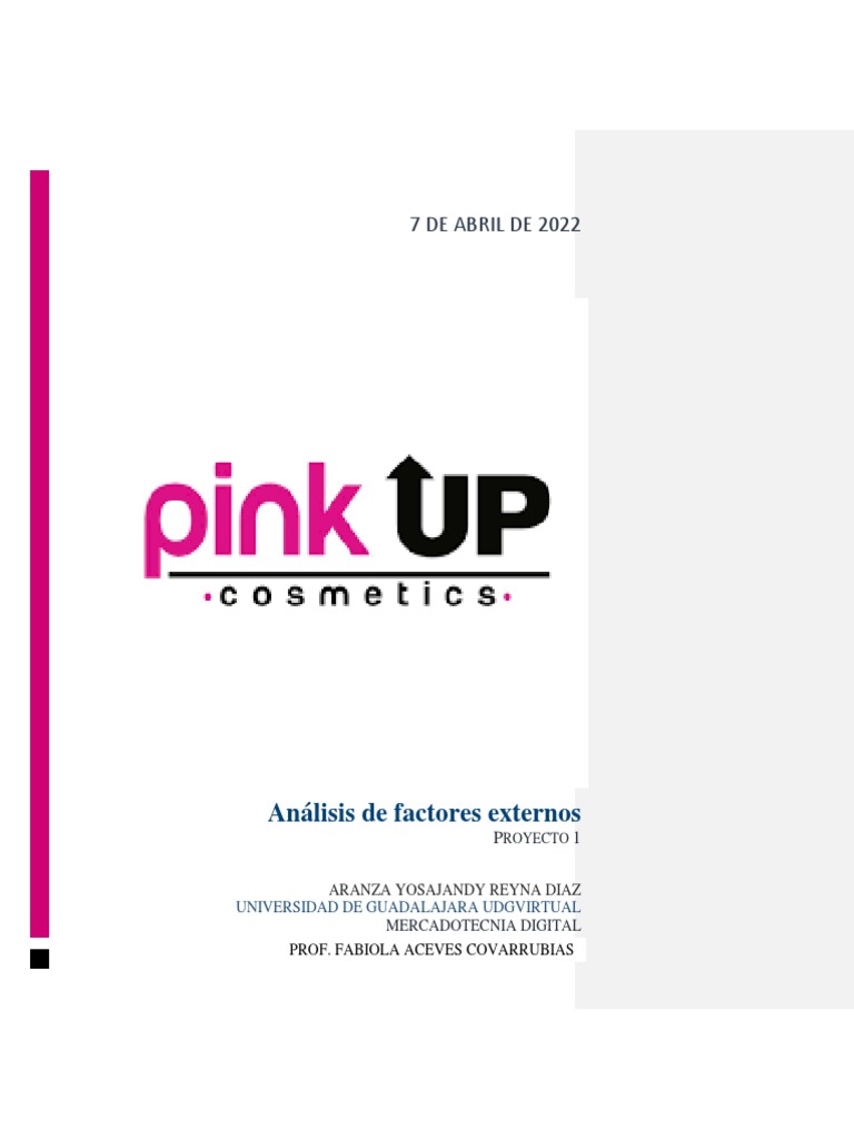 Proyecto1 5.2 Reyna Aranza | PDF | Mercado (economía) | Análisis FODA