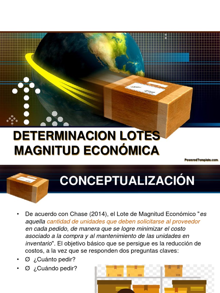 Determinacion Lotes Magnitud Económica | PDF | Inventario | Sector ...