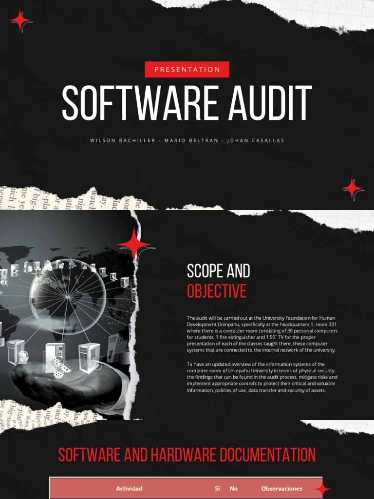 Software Audit | PDF