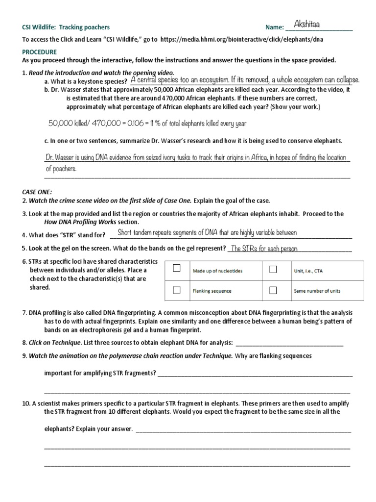 CSI Wildlife: Elephant Poaching DNA Analysis | PDF | Microsatellite ...