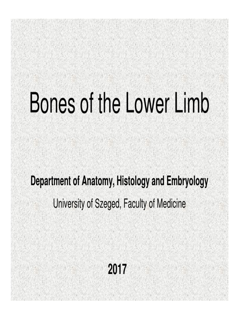 06 Bones of Lower Limb | PDF | Pelvis | Human Leg