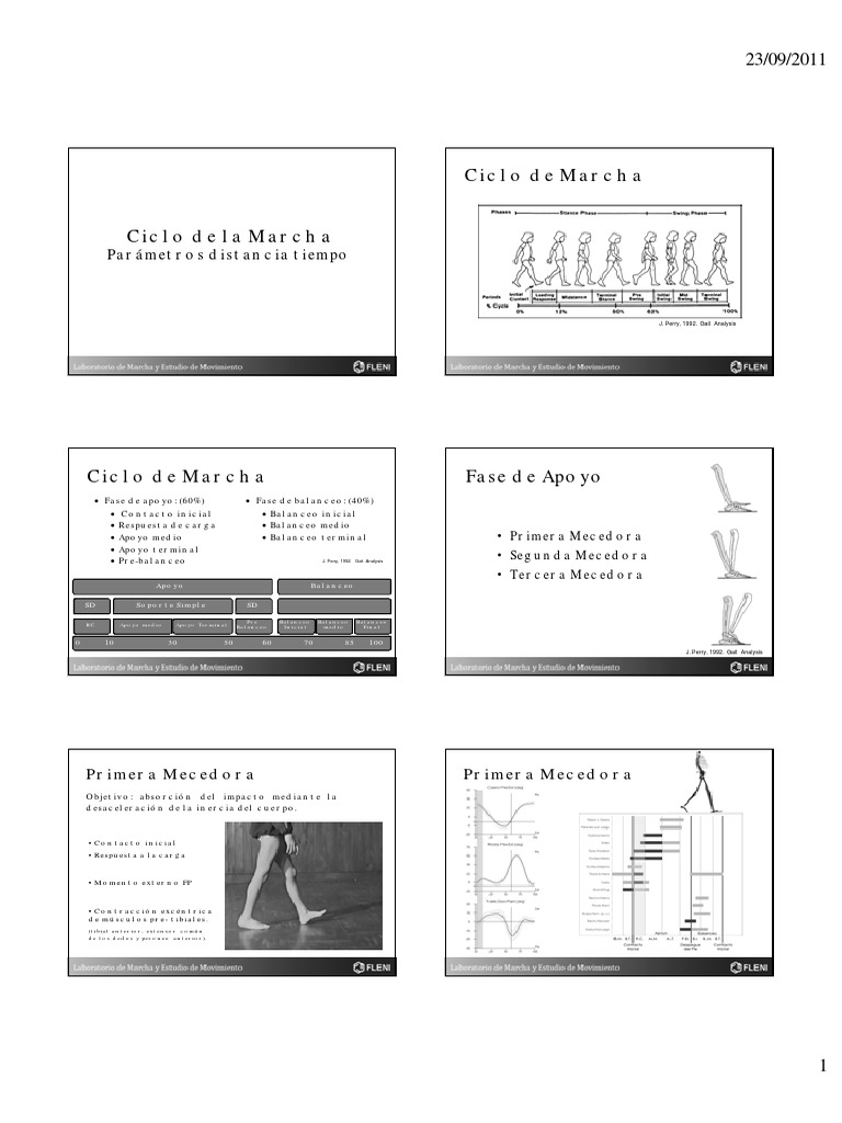 03 - Ciclo de Marcha | PDF | Sistema musculoesquelético | Anatomía humana