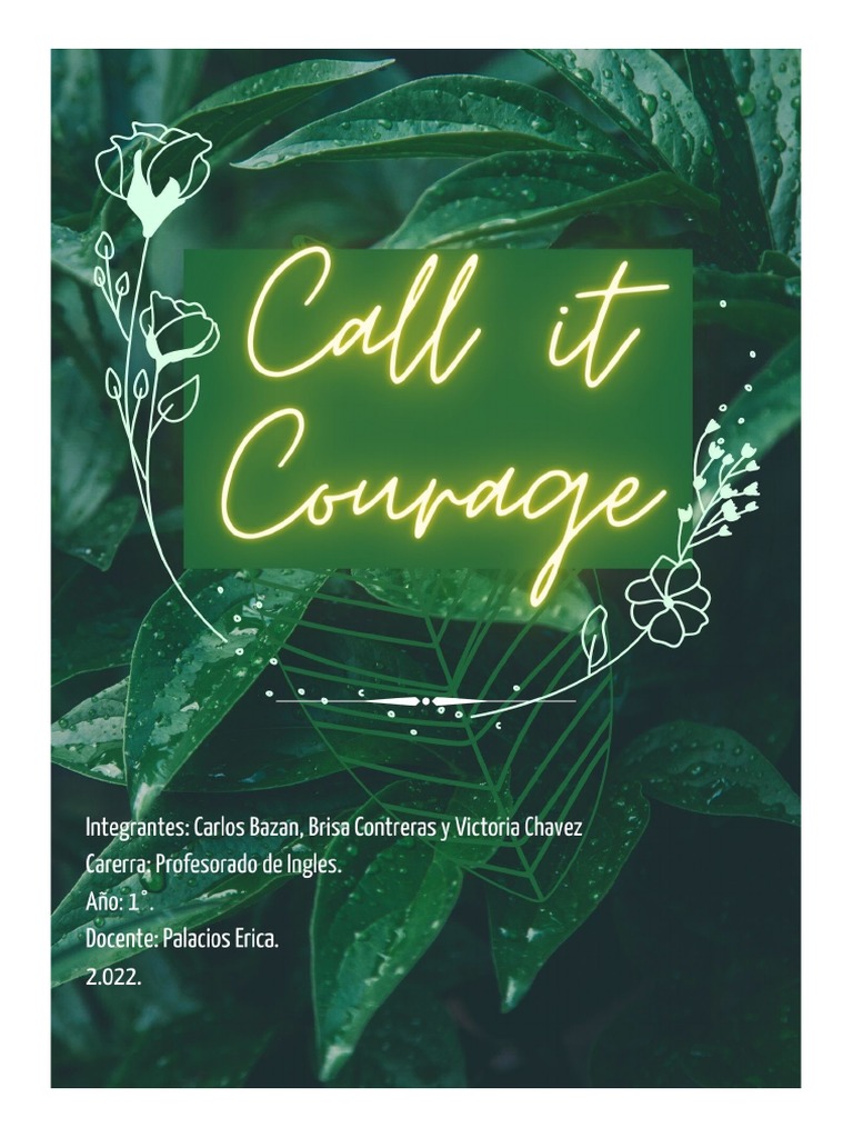 Call It Courage Carpeta | PDF | Courage | Wound