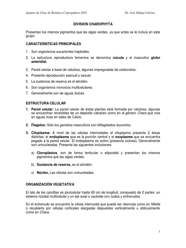 Charophyta 2022 | PDF | Biología Celular) | Procesos biologicos