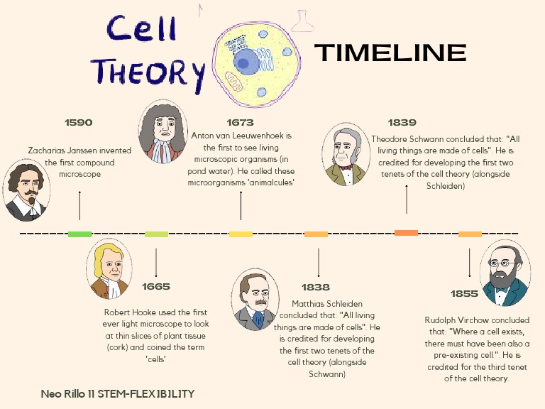 Cell Theory Timeline by Neo Rillo | PDF | Scientific Method | Life Sciences