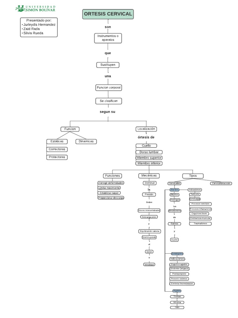 Mapa Conceptual Órtesis Cervical | PDF | Causas de la muerte | Sistema ...