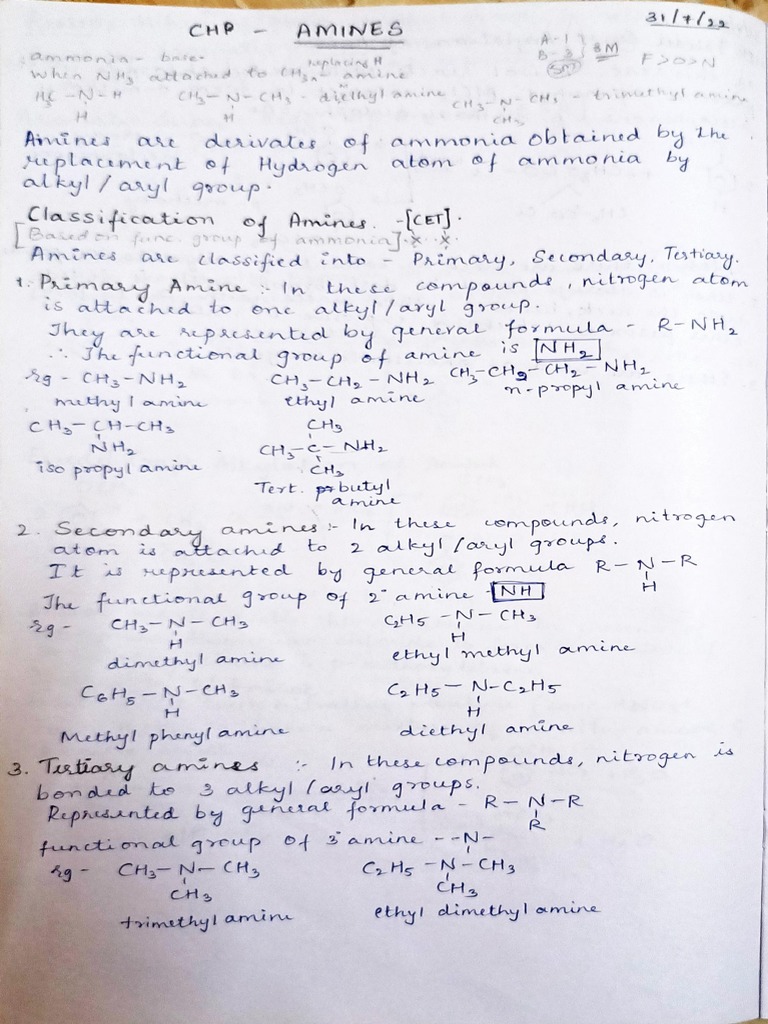 Amines Pdf Amine Methyl Group