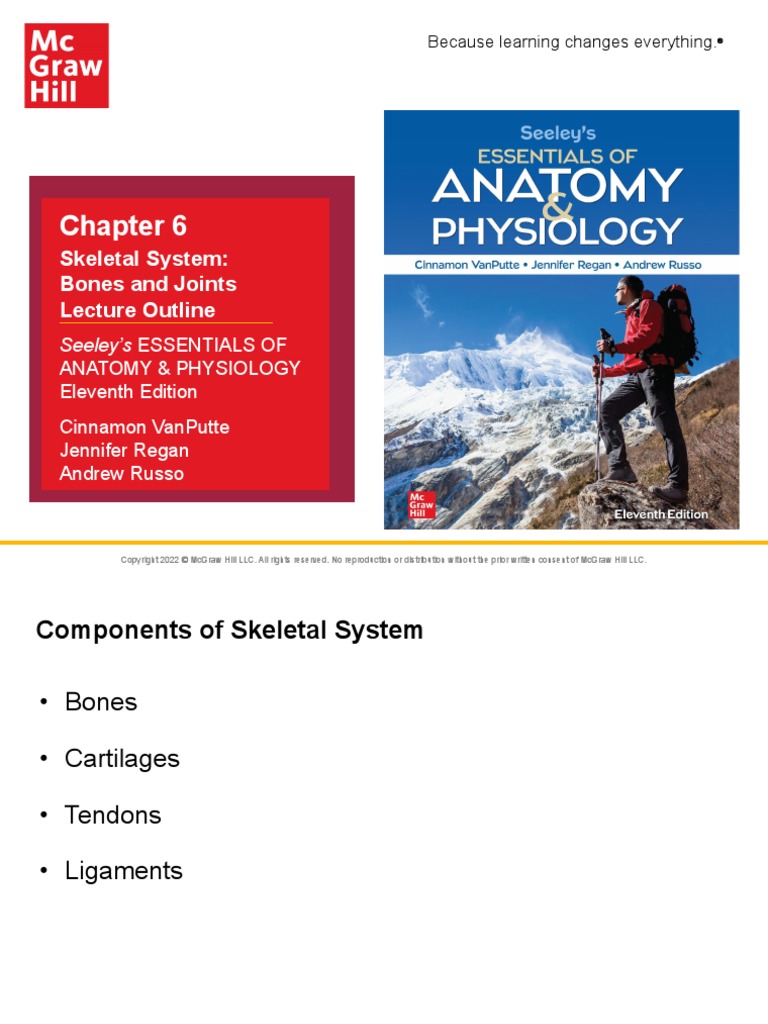 VanPutte Seeleys Essentials 11e Chap06 PPT Accessible | PDF | Bone | Vertebral Column