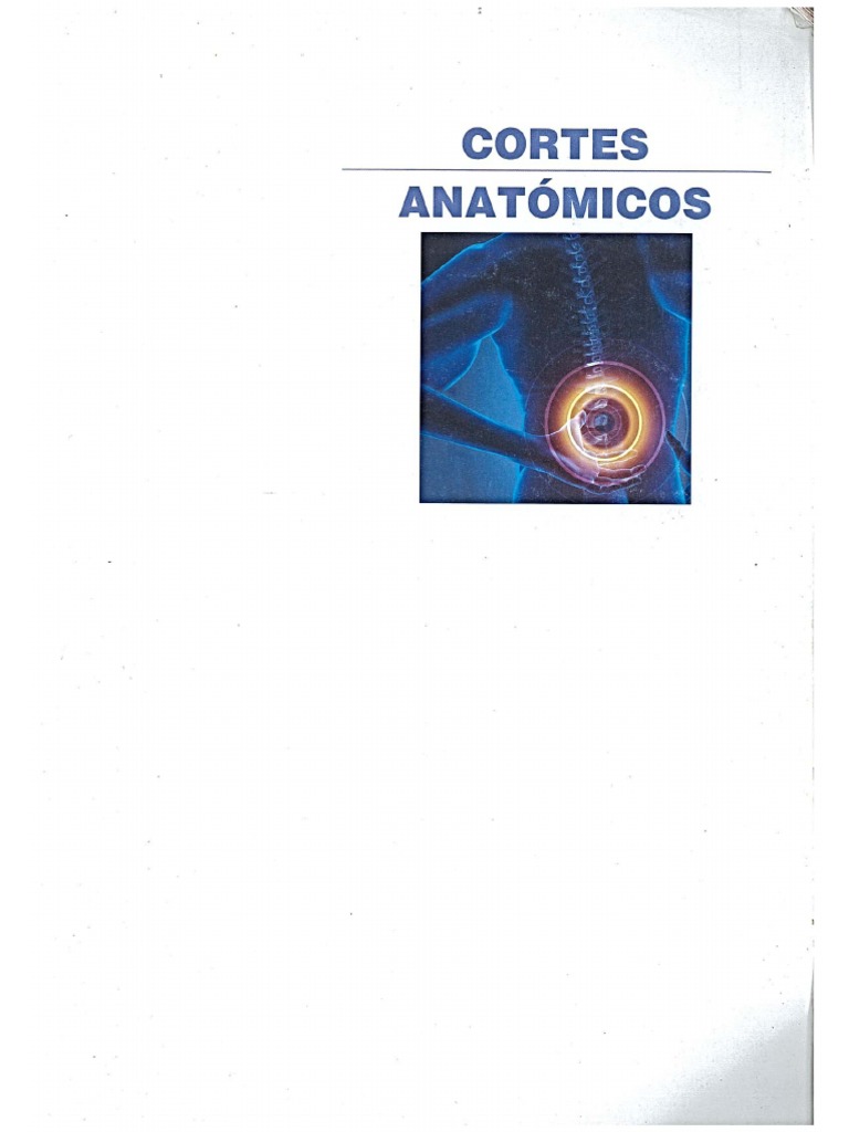 Cortes Anatómicos - Cabeza, Cuello, Tórax, Abdomen | PDF