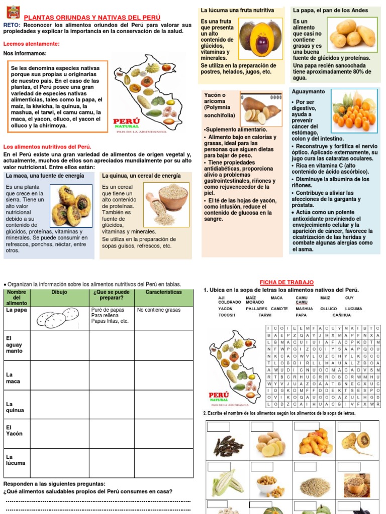 Ficha - Plantas Nativas Del Perú | PDF | Nutrición | Dieta y nutrición