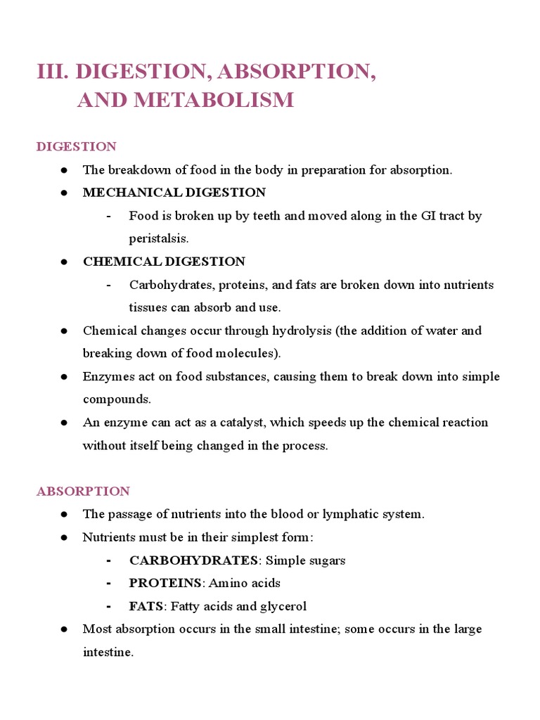 Digestion, Absorption, and Metabolism Explained | PDF | Digestion | Stomach