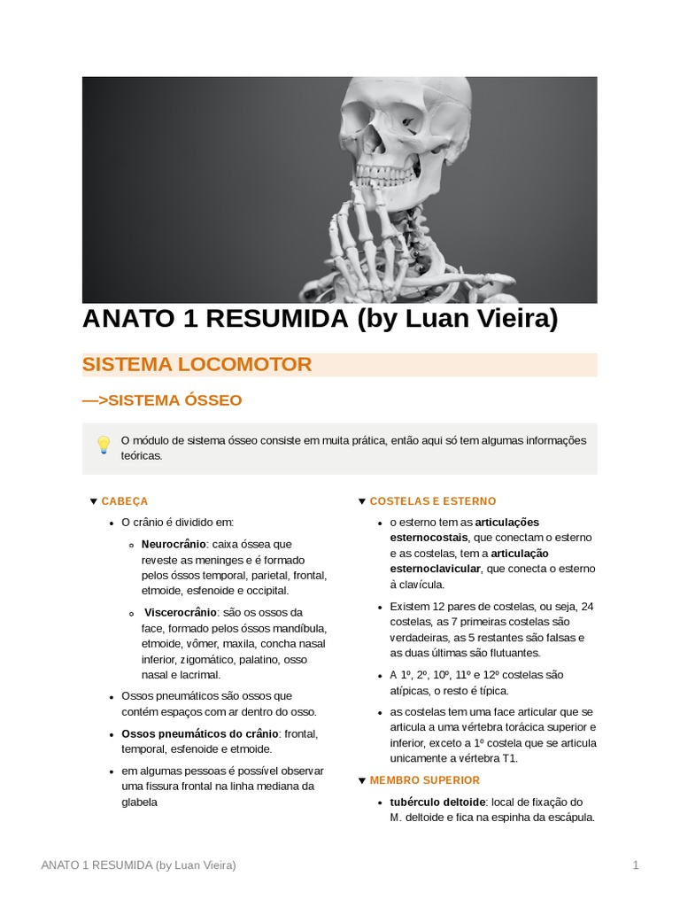Anato 1 Resumida | PDF | Rim | Bexiga urinária