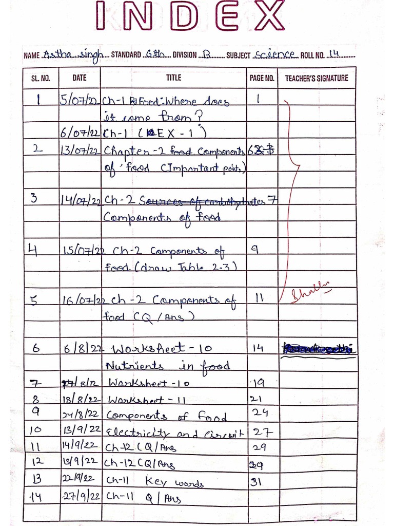 Class 6 (Science) Full Syllabus | PDF