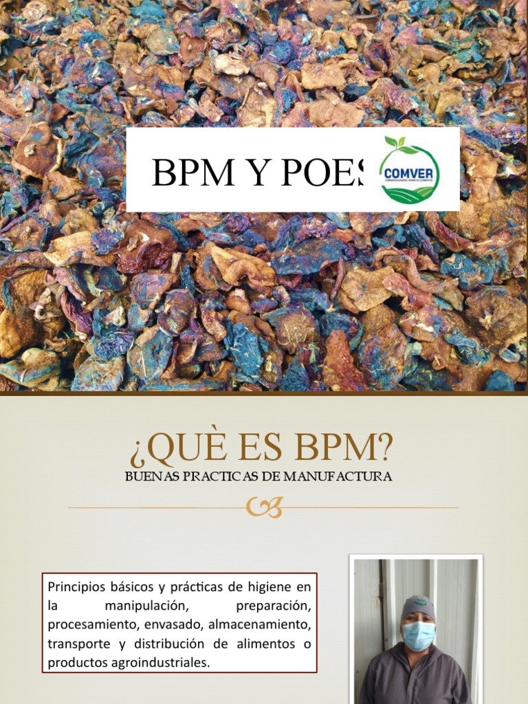 BPM y Poes | PDF