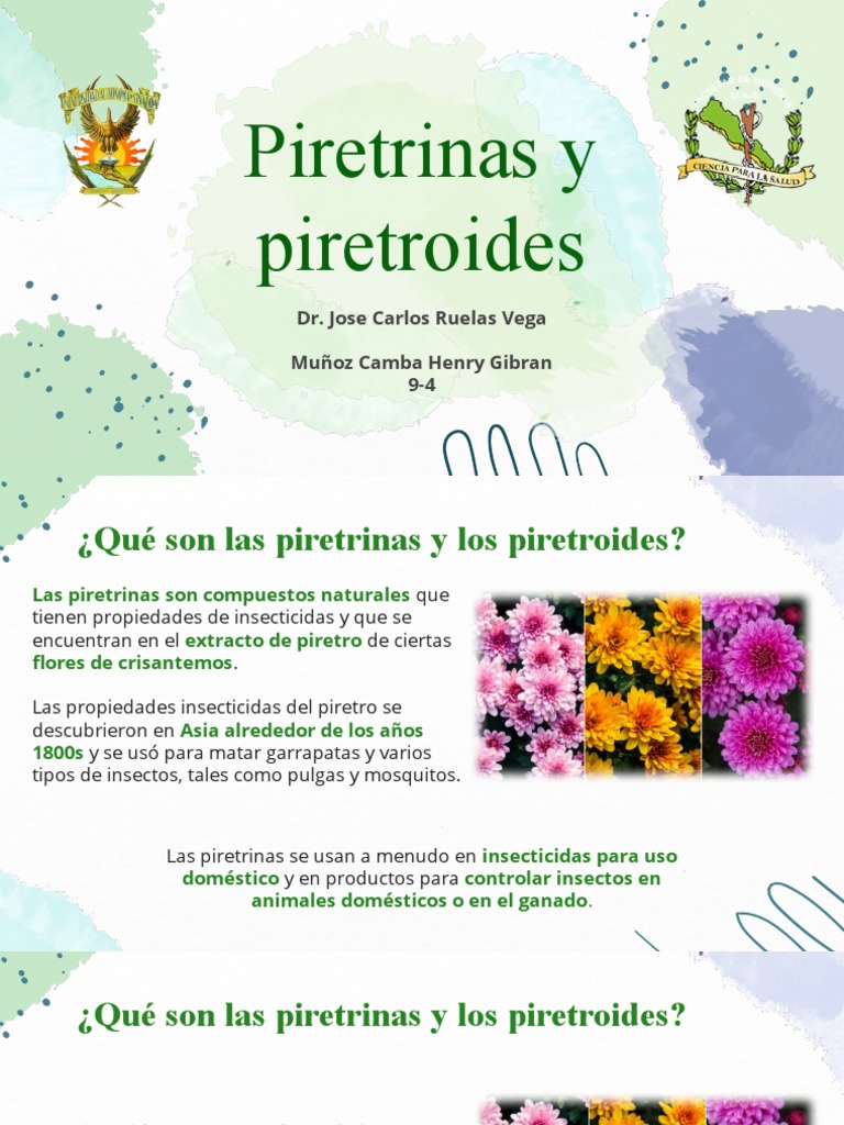Piretrinas y Piretroides | PDF | Especialidades Medicas | Medicina CLINICA