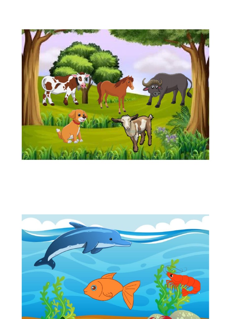 Land Air Water | PDF