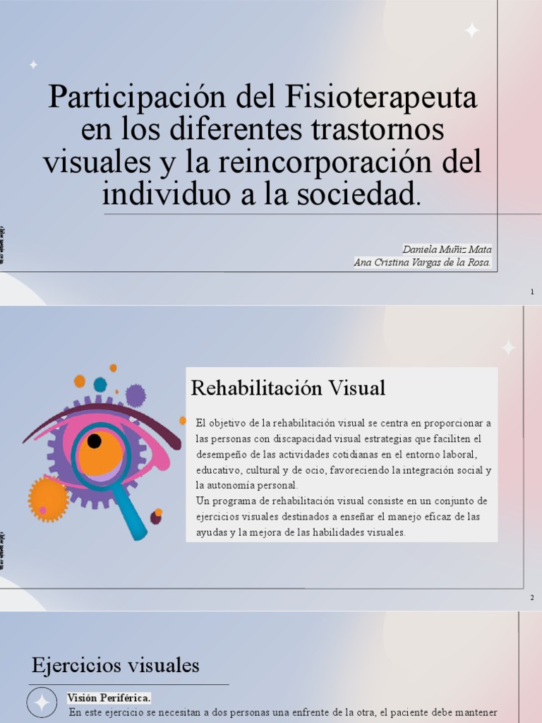Fisioterapia en Trastornos Visuales | PDF | Discapacidad visual ...