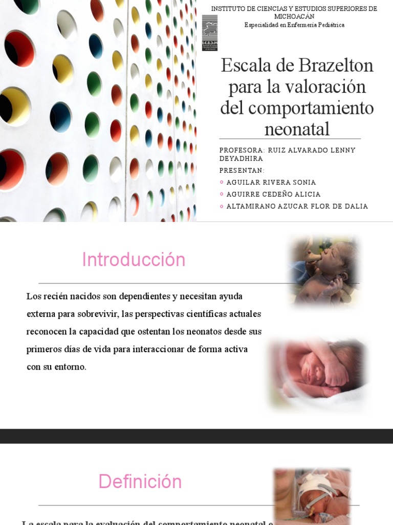 Escala de Brazelton para Neonatos | PDF | Infantes | Comportamiento