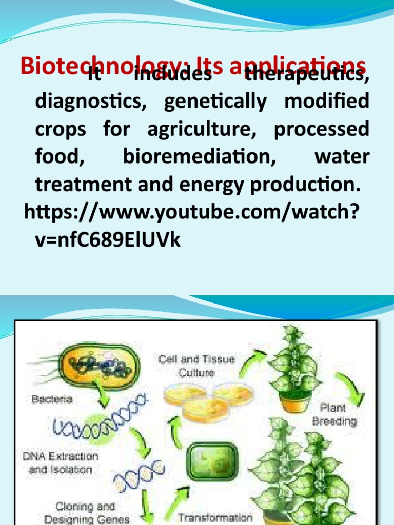 XII-12-Biotechnology and Its Application | PDF | Transgene | Gene Therapy