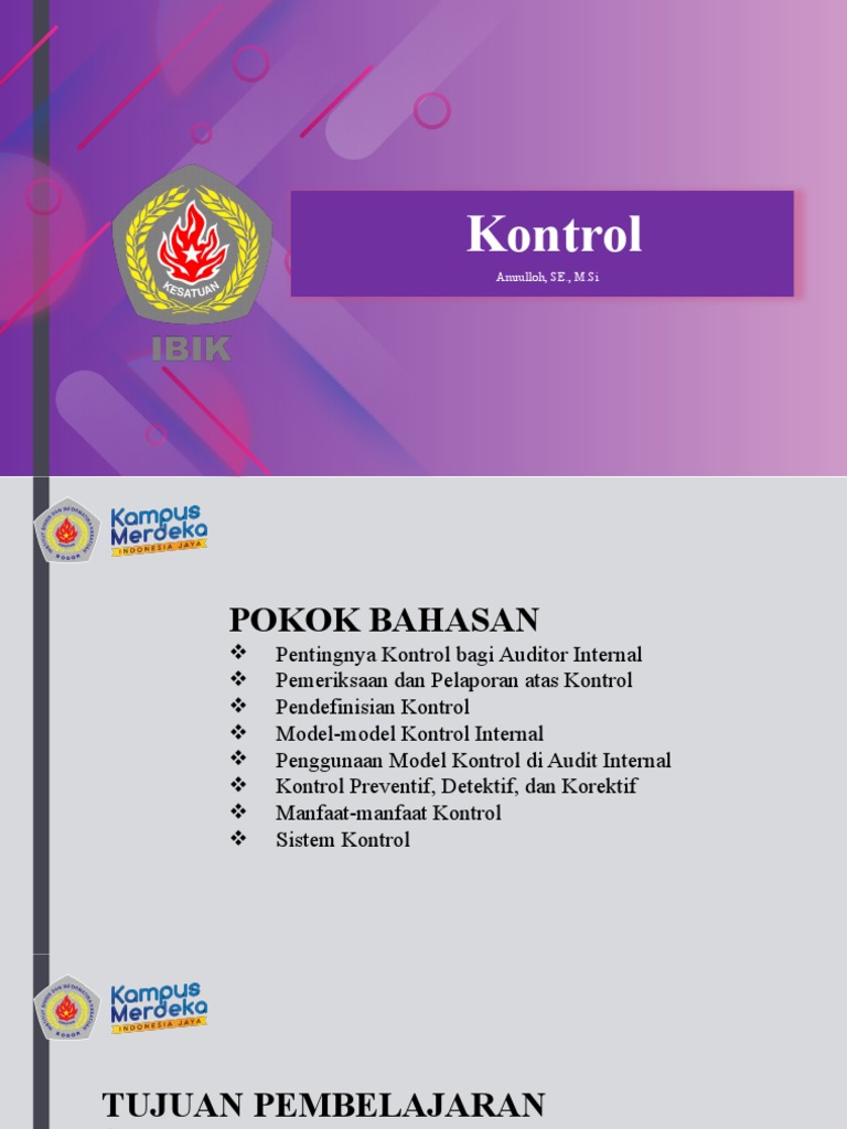 STANDARDS OF INTERNAL CONTROL | PDF