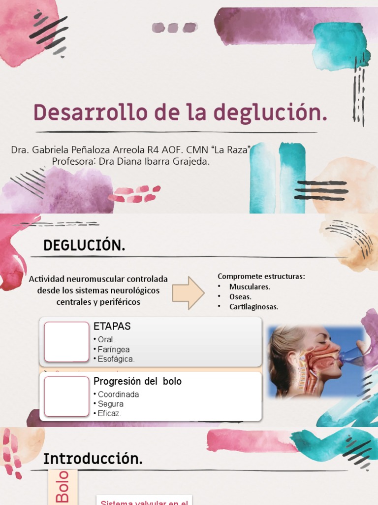 Deglución | PDF | Laringe | Anatomía humana