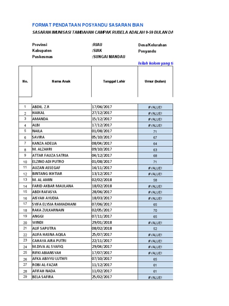 Final - Format Mikroplanning BIAN Puskesmas SUNGAI MANDAU | PDF