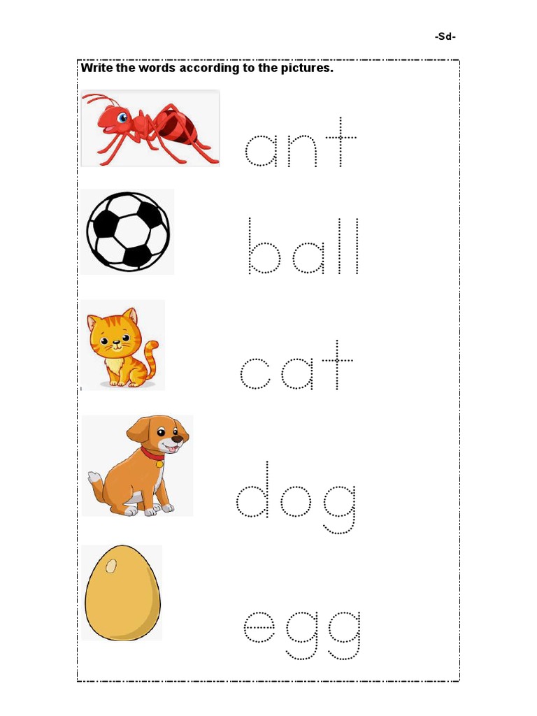 Write The Words According To The Pictures | PDF
