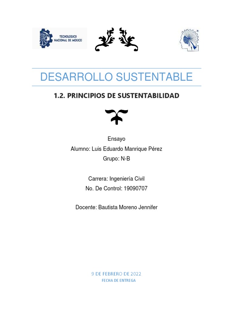 Ensayo. - Principios de Sustentabilidad | PDF | Desarrollo sostenible | Sustentabilidad