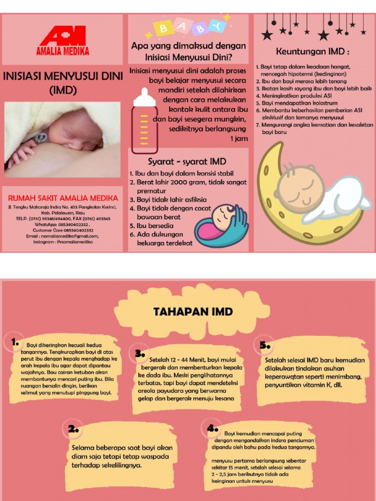 Inisiasi Menyusui Dini | PDF