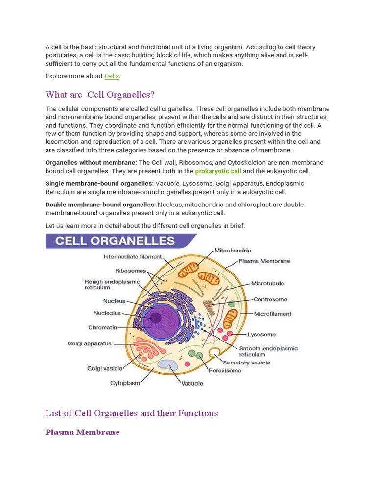 Cell Orgenelles | Download Free PDF | Cell (Biology) | Organelle