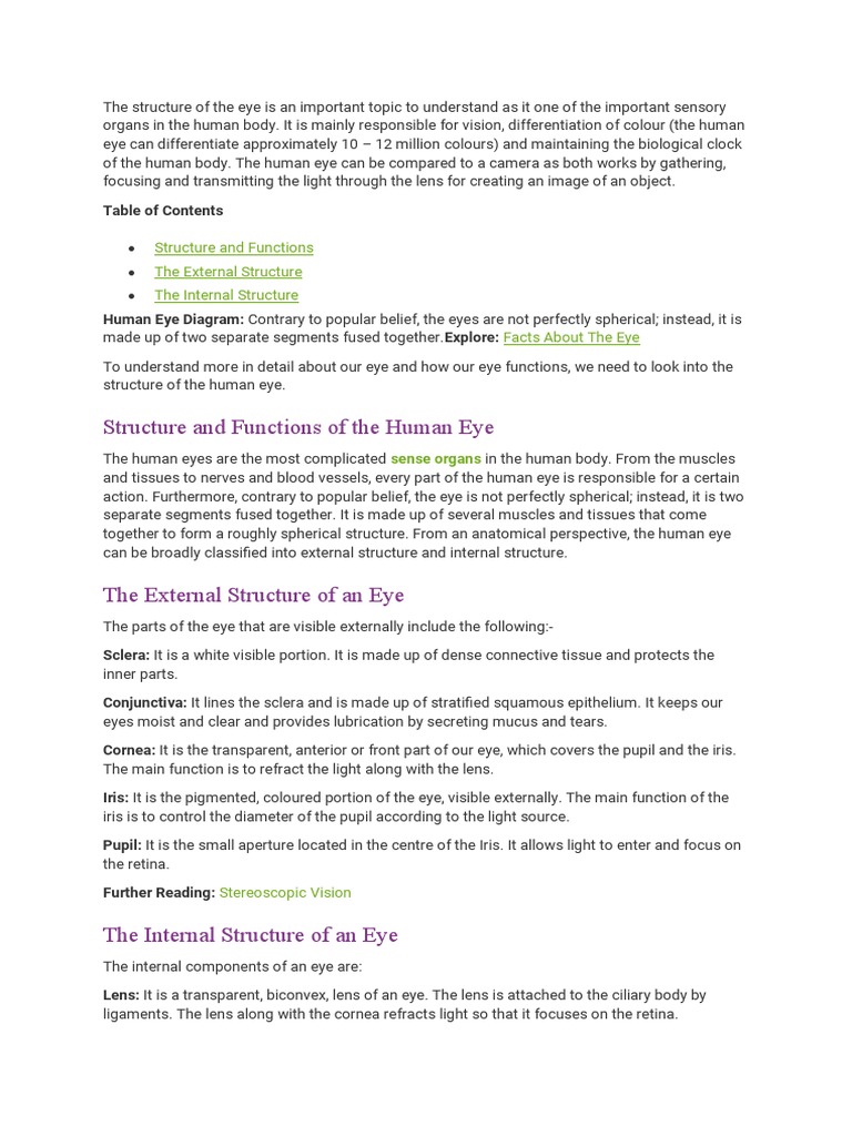 Eyes | PDF | Eye | Human Eye