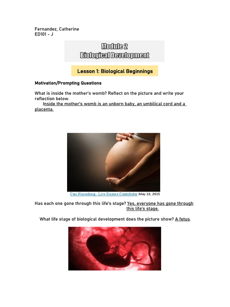 Fernandez ED101 Module 2 PDF | PDF | Pregnancy | Prenatal Development