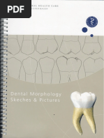 Triadan Tooth Numbering System | PDF